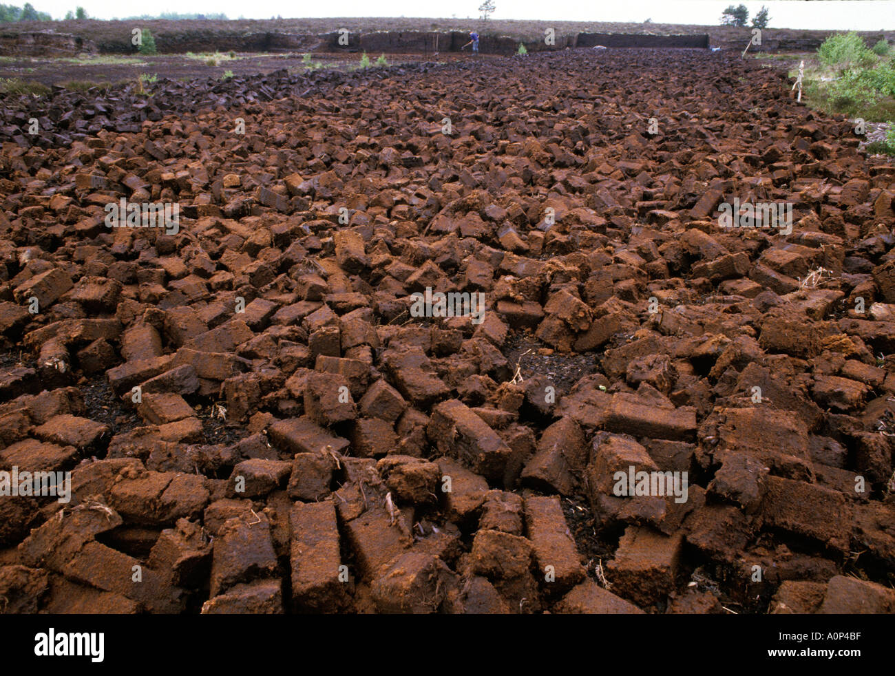 IRELAND PEAT DIGGING IN THE WEST OF THE IRISH REPUBLIC COPYRIGHT Stock ...