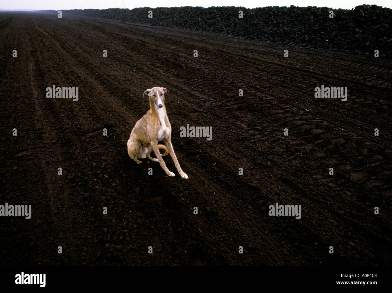 Peat bog ireland digging hi-res stock photography and images - Alamy