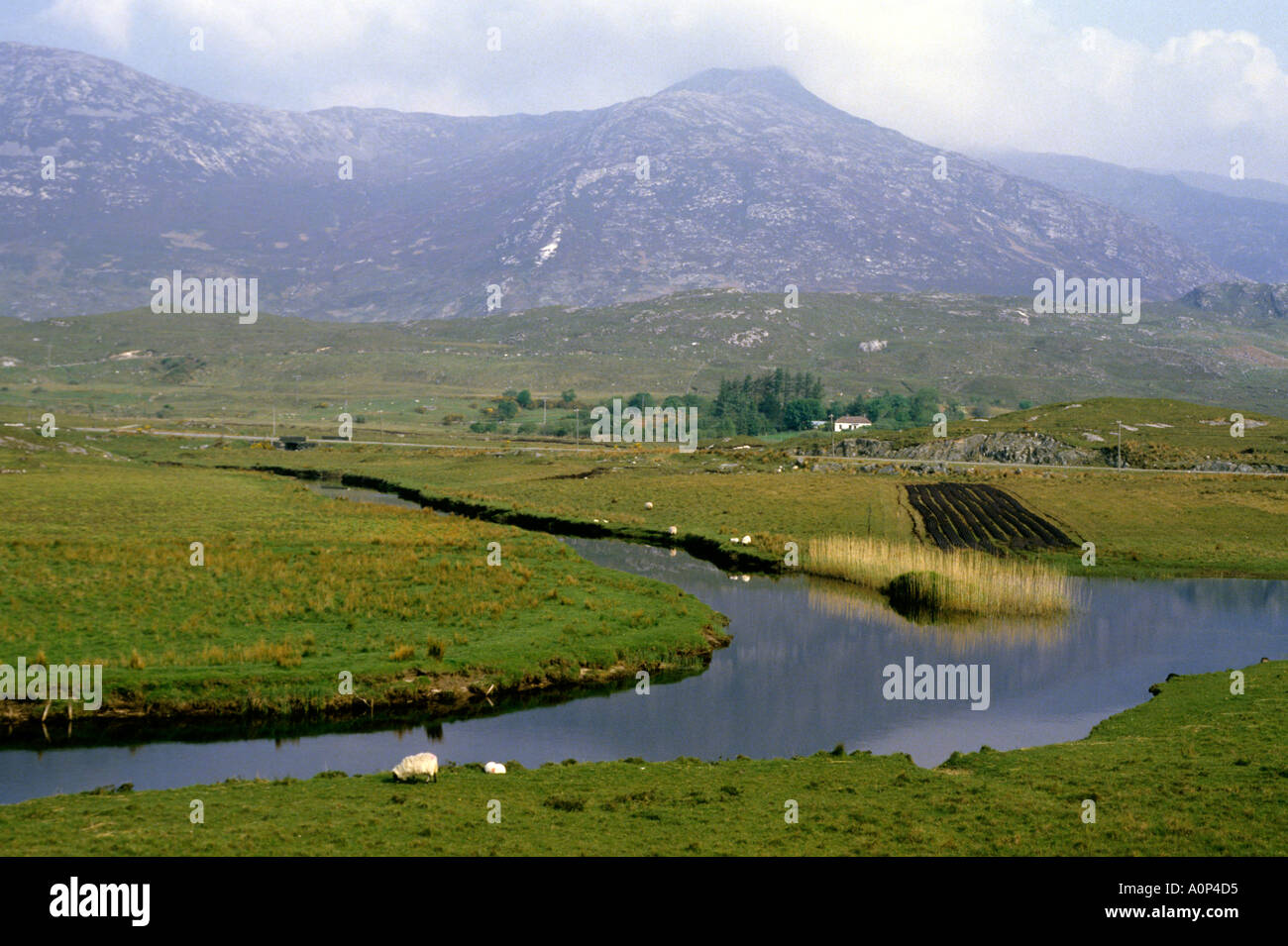 Peat Bog Ireland Digging High Resolution Stock Photography and Images ...