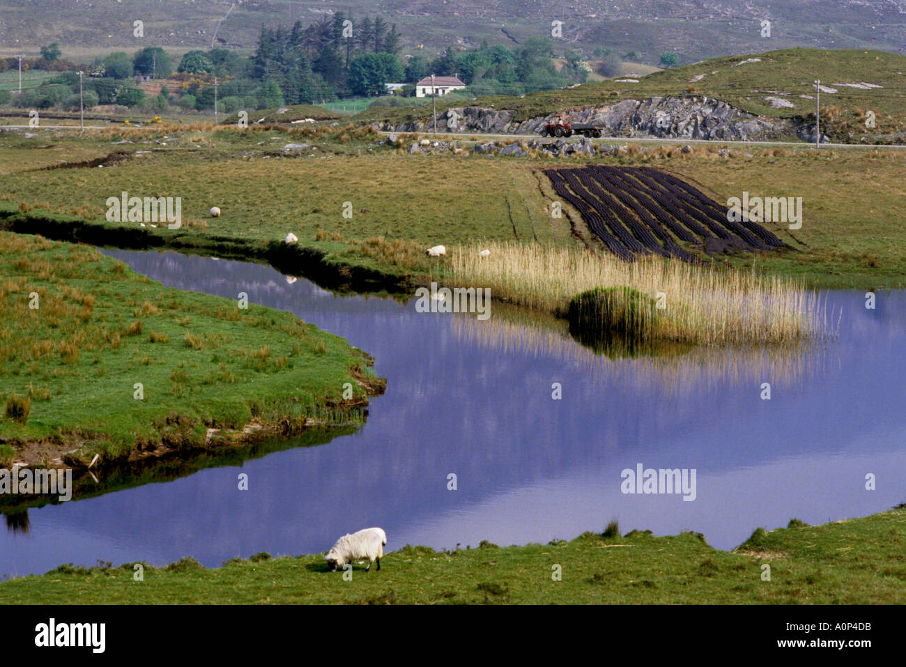 IRELAND PEAT DIGGING IN THE WEST OF THE IRISH REPUBLIC COPYRIGHT Stock ...