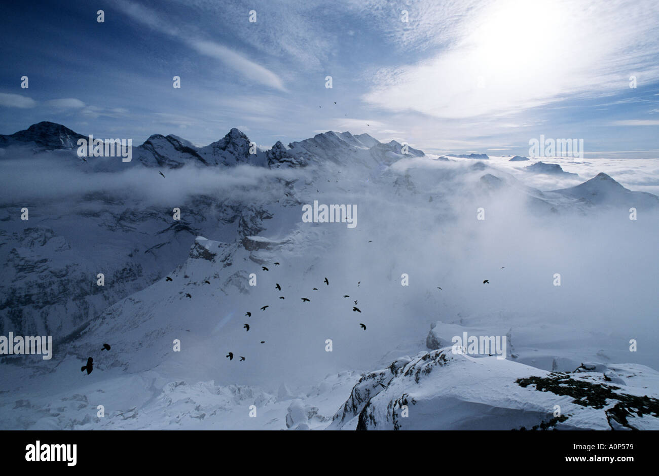 007 james bond hi-res stock photography and images - Alamy