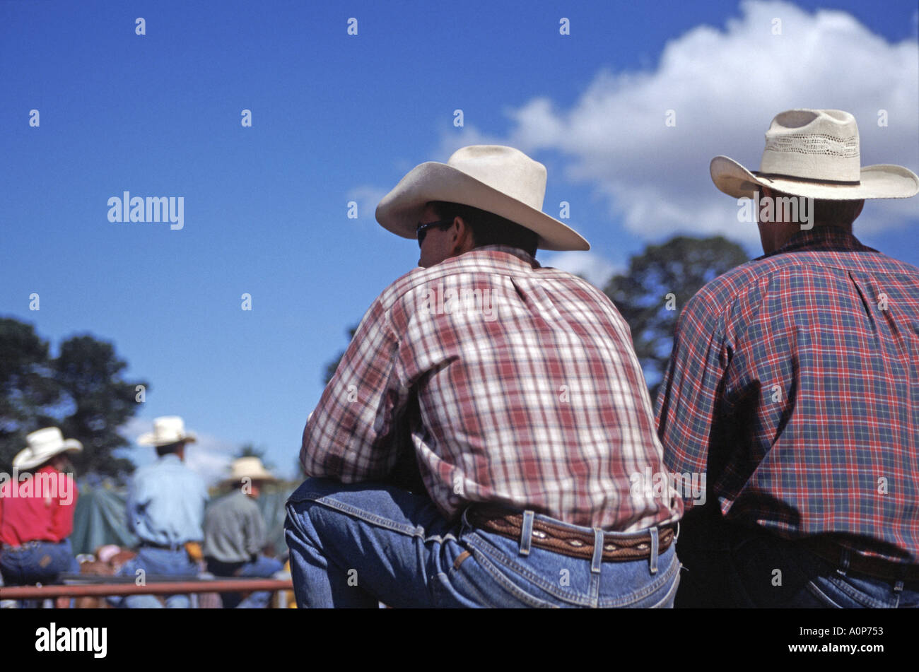 Rodeo. Taralga. New South Wales Australia Stock Photo - Alamy