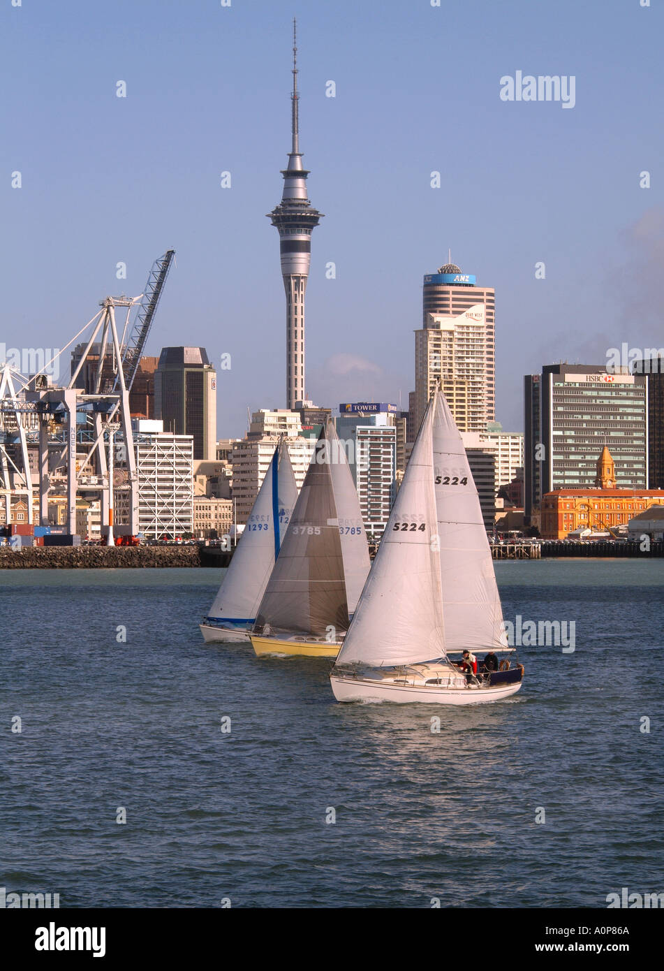 Three yachts sailing Waitemata Harbour Auckland City New Zealand with ...