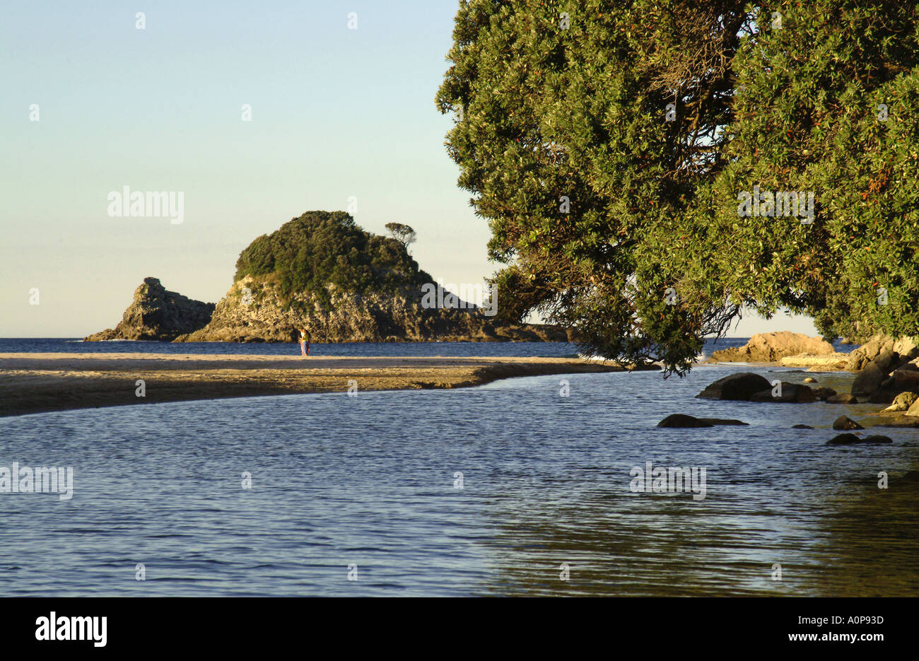 Evening Beach scene Hahei township Coromandel New Zealand Stock Photo ...