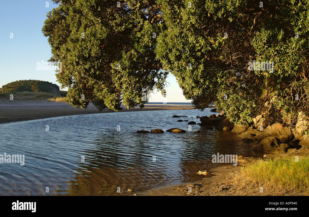 Evening Beach scene Hahei township Coromandel New Zealand Stock Photo ...