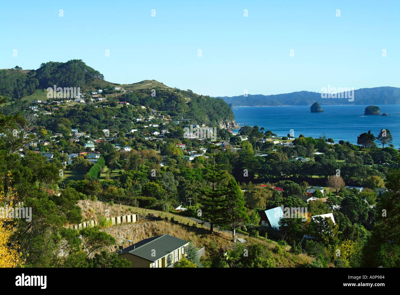Hahei township landscape Coromandel New Zealand Stock Photo - Alamy