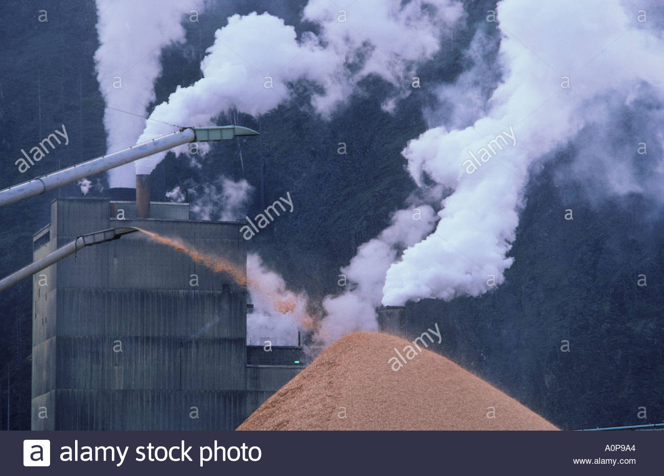 Pulpmill Stock Photos & Pulpmill Stock Images - Alamy