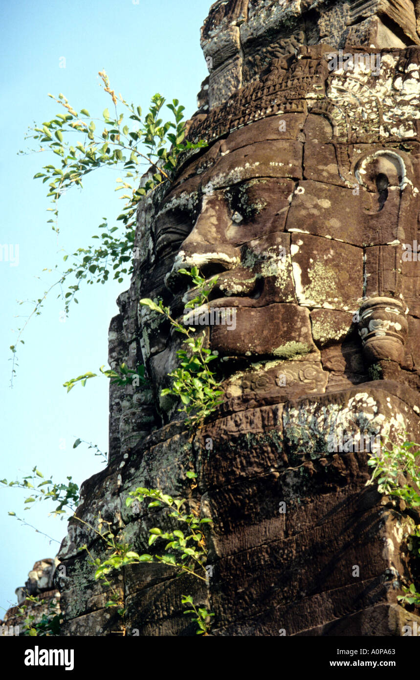 Buddha's head at Ta Prohm temple Angkor Complex Cambodia threatened by ...