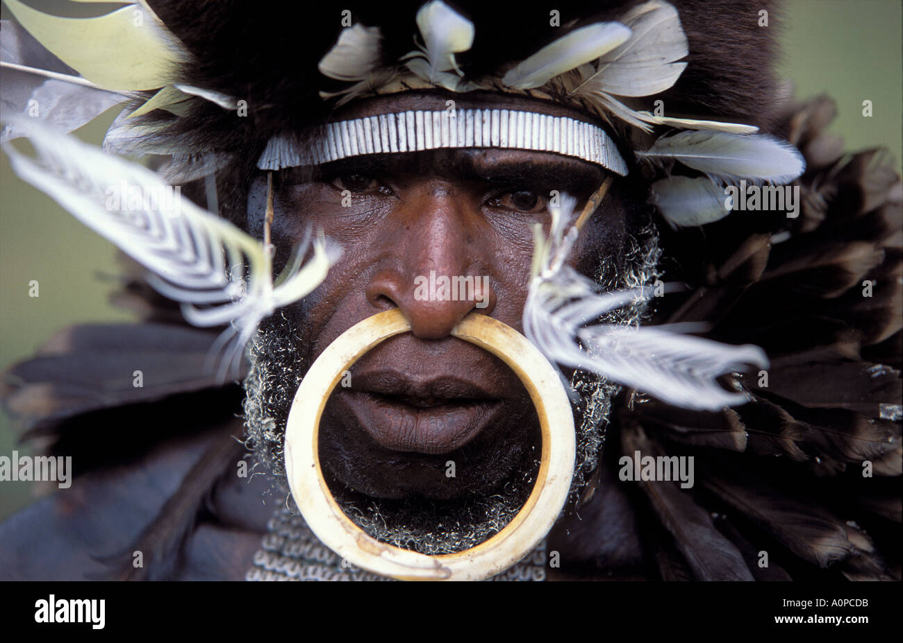 Kains hi-res stock photography and images - Alamy