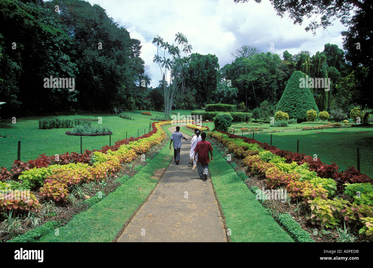 The botanical gardens Kandy sri lanka Stock Photo - Alamy