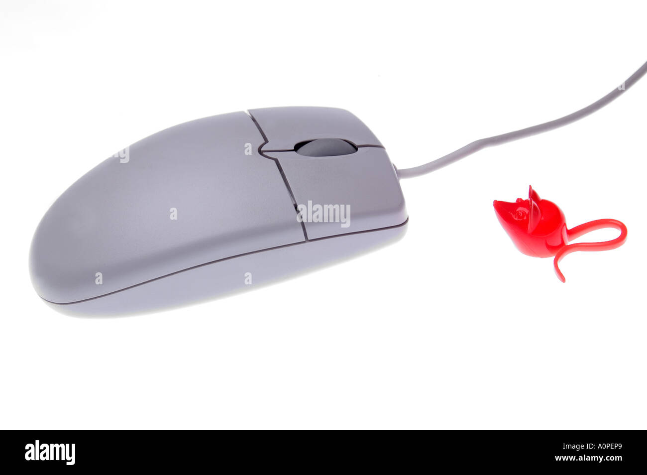 Little Mouse, Big Mouse Stock Photo - Alamy