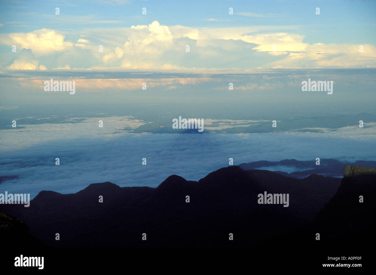 The triangle shadow of the mountain falling on the clouds Adam s peak ...