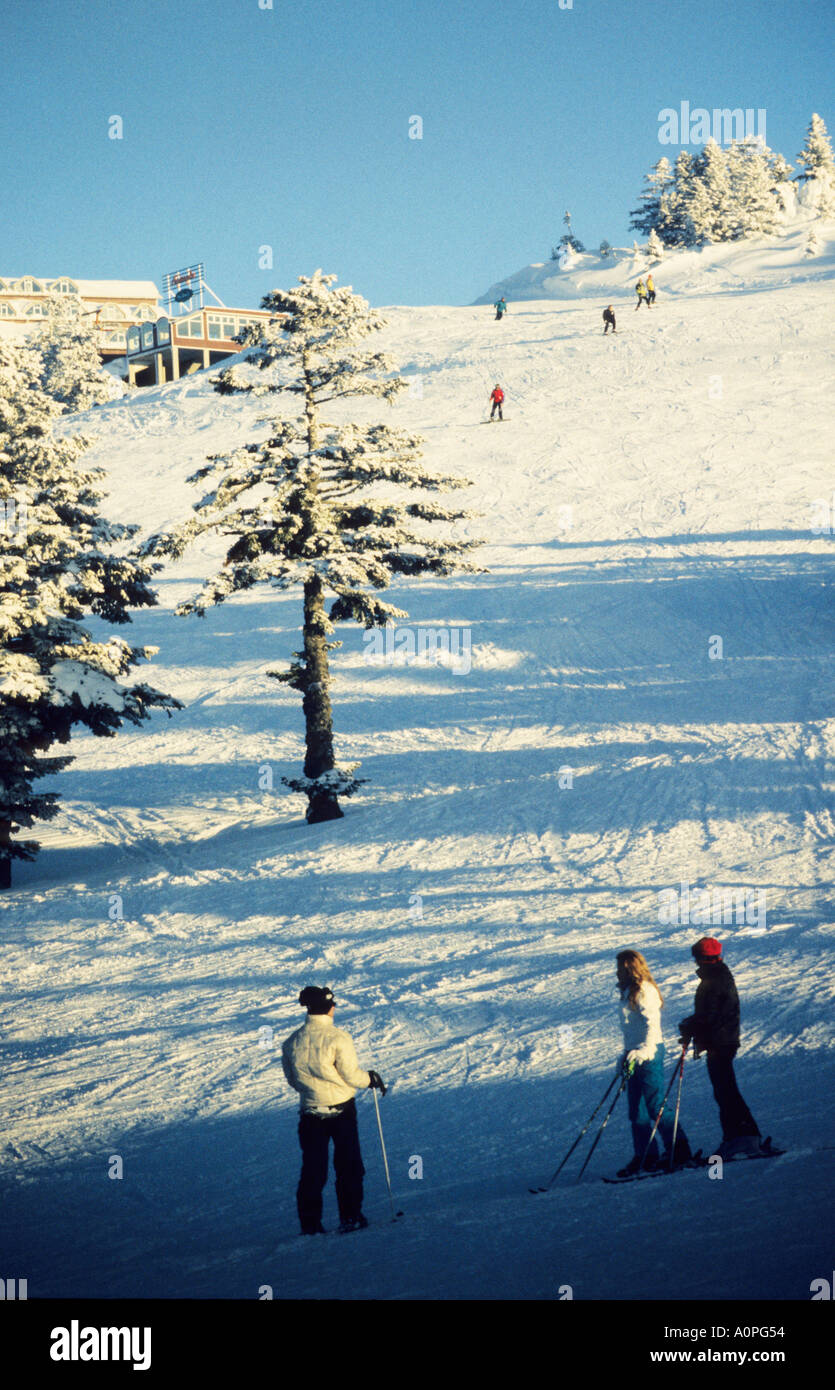 Turkish Ski Slope Stock Photo - Alamy