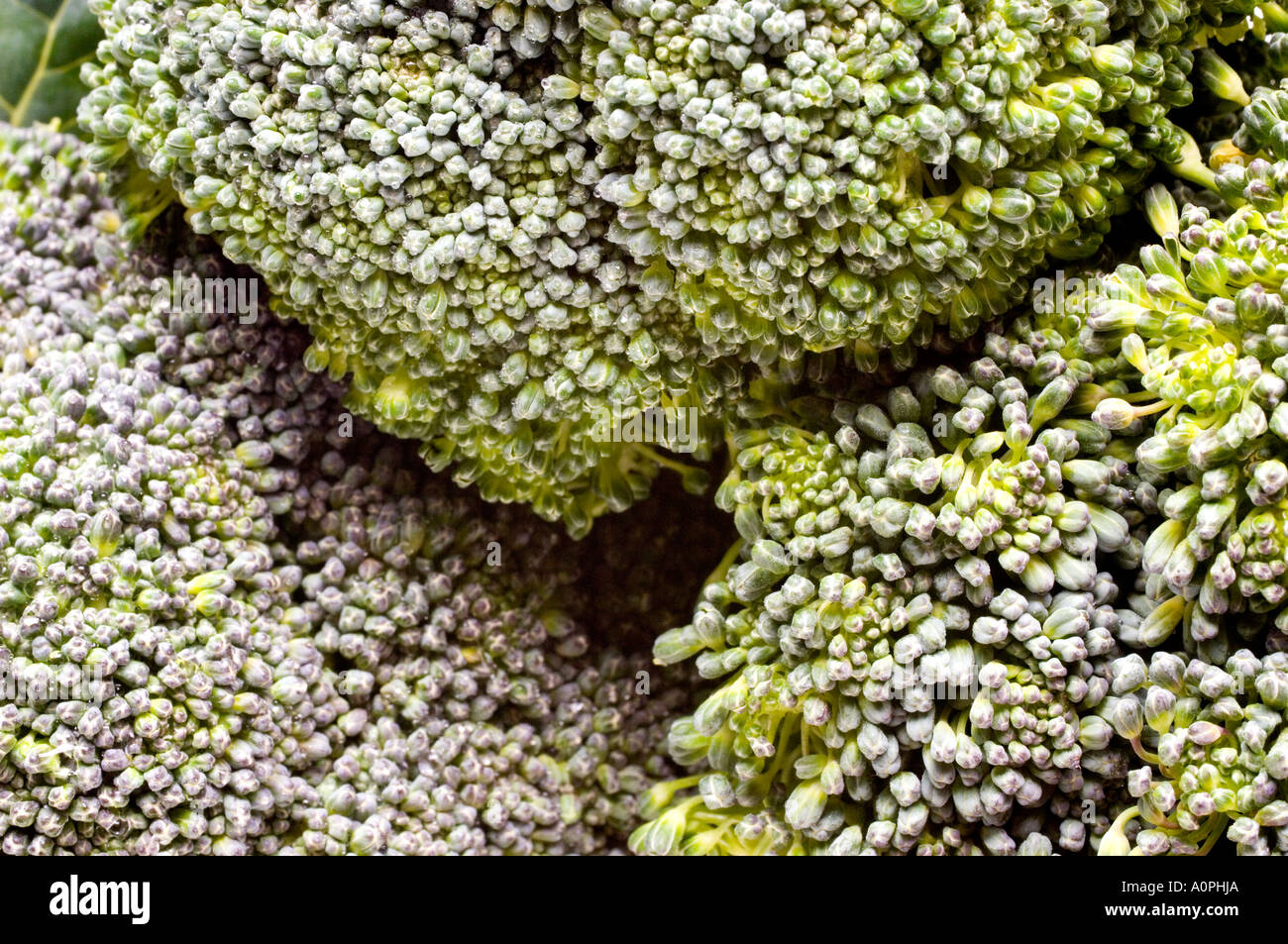 Broccoli bunches hi-res stock photography and images - Alamy
