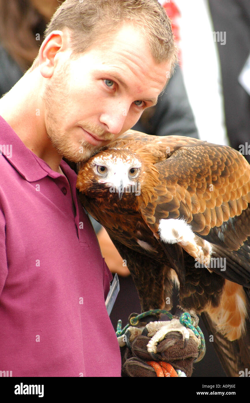 Wedge-tailed Eagle with a bird handler, Melbourne, Australia Stock ...
