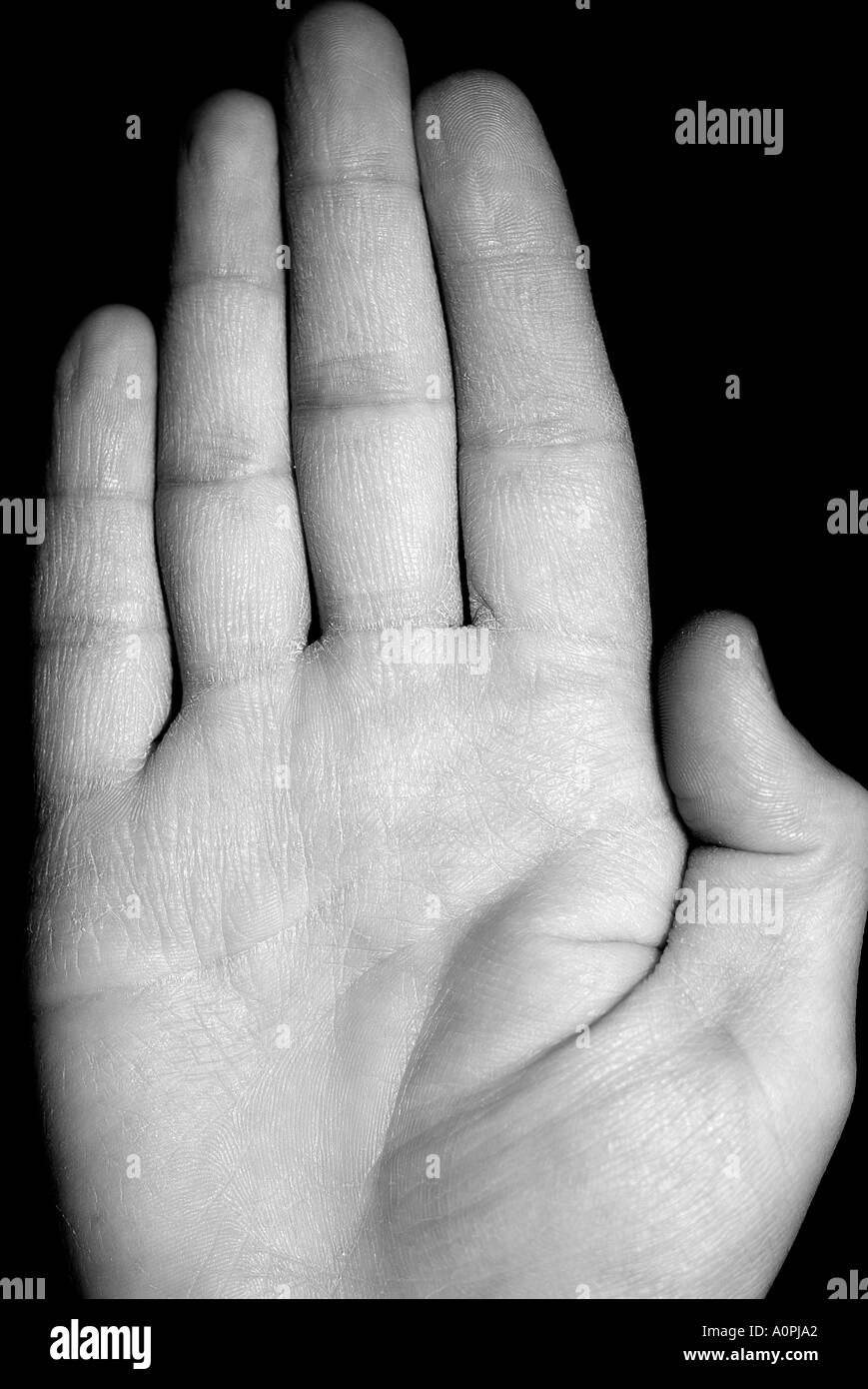 Human Males Right Hand Stock Photo - Alamy