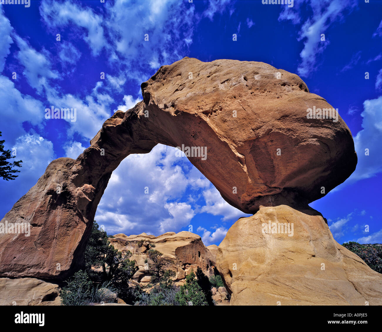 Colorado plateau new mexico hi-res stock photography and images - Alamy