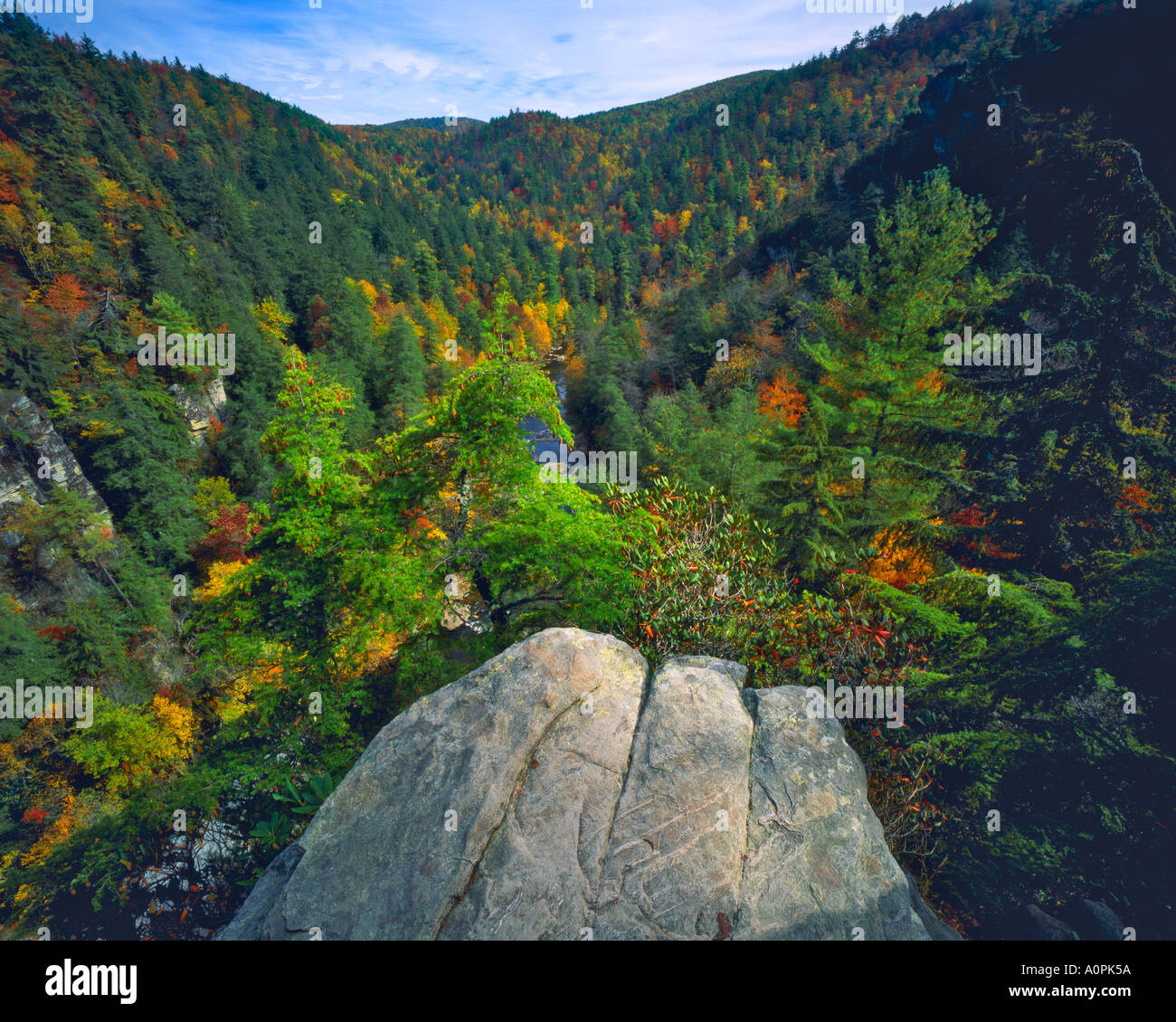 Linville Gorge Blue Ridge Parkway Pisgah National Forest Linville Gorge ...