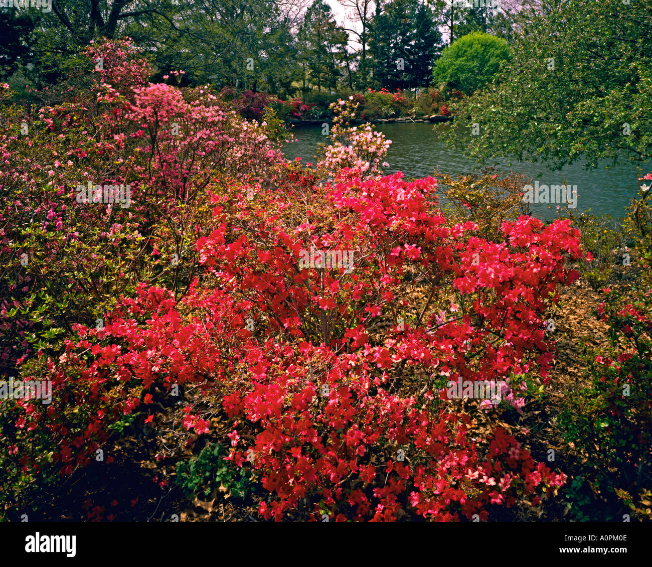 Muskogee hi-res stock photography and images - Alamy