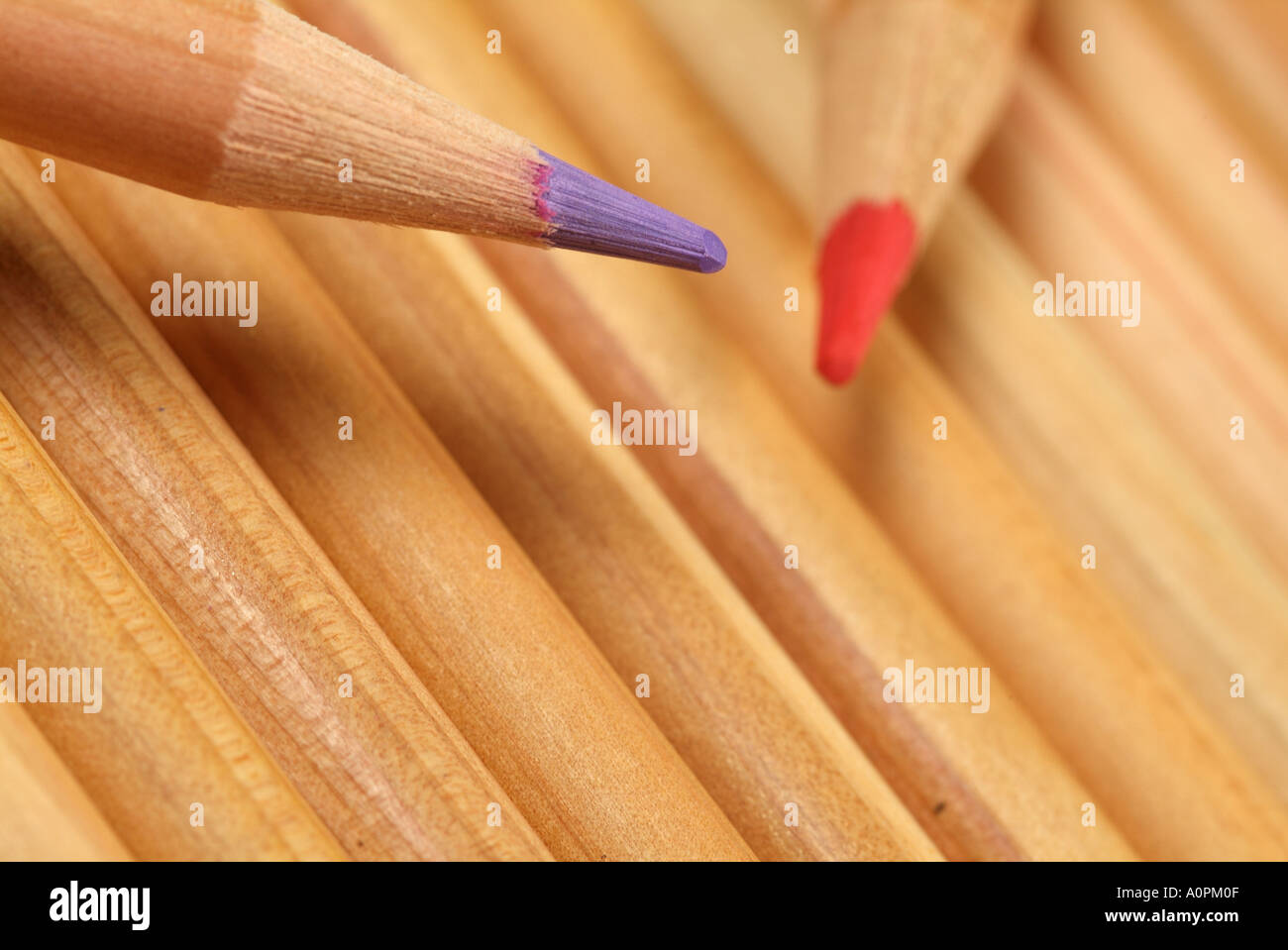 Coloured, colored wooden red and purple pencils crayons Stock Photo - Alamy