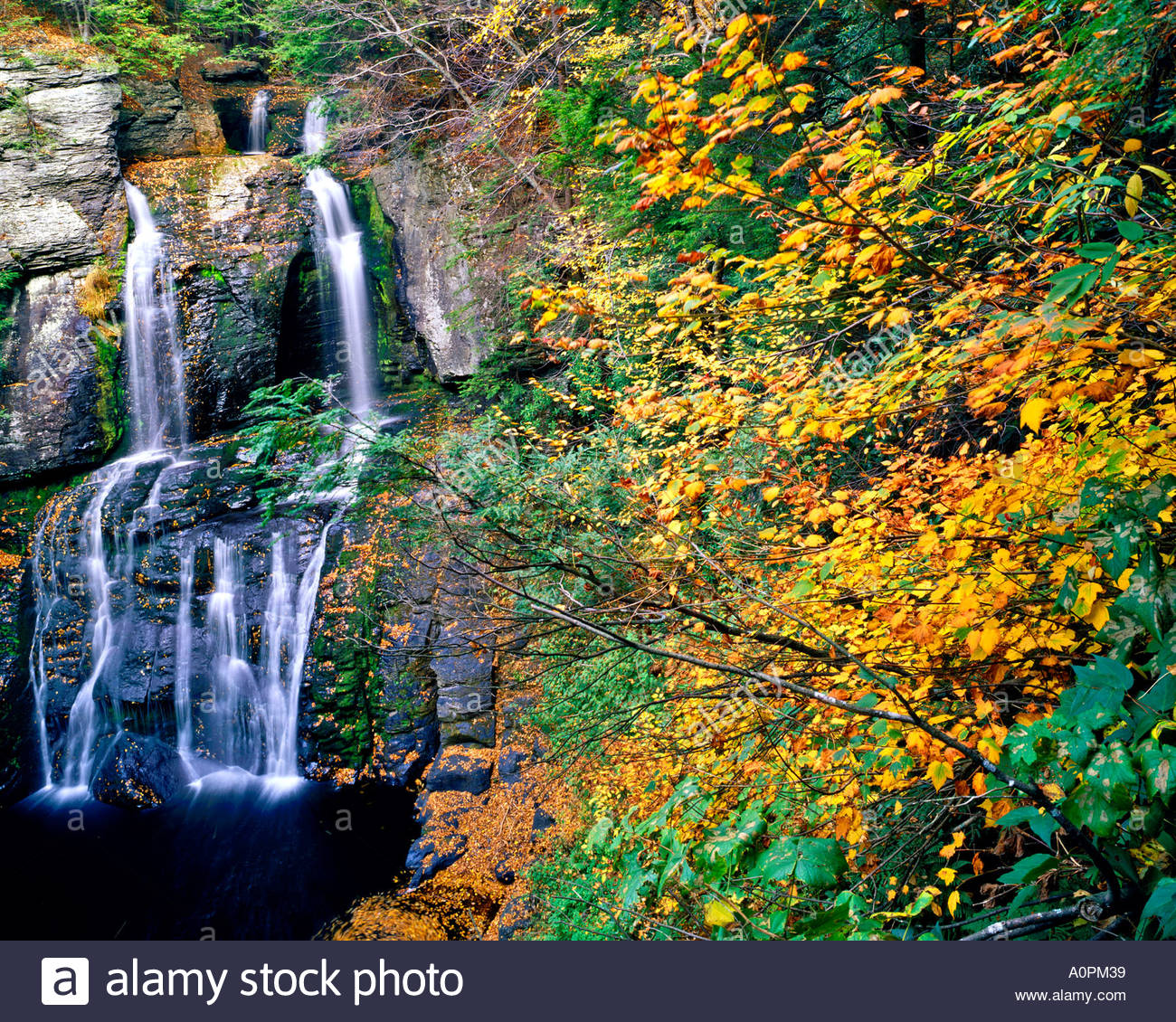 Autumn at the Main Falls Bushkill Falls Delaware River Valley Delaware ...