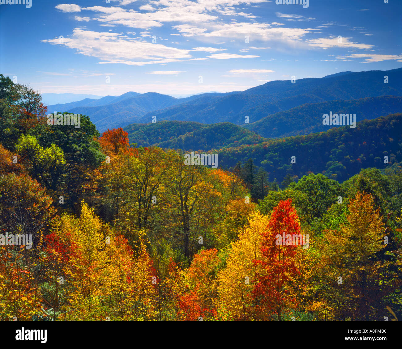 First Fall Colors Great Smoky Mountains National Park Southern ... First Fall Colors Great Smoky Mountains National Park Southern ...