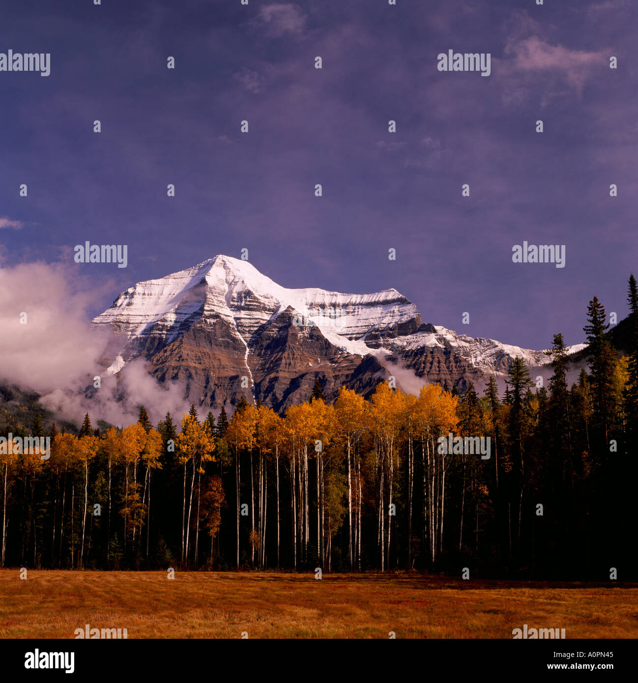 Mount Robson in Mount Robson Provincial Park in Canadian Rockies along ...