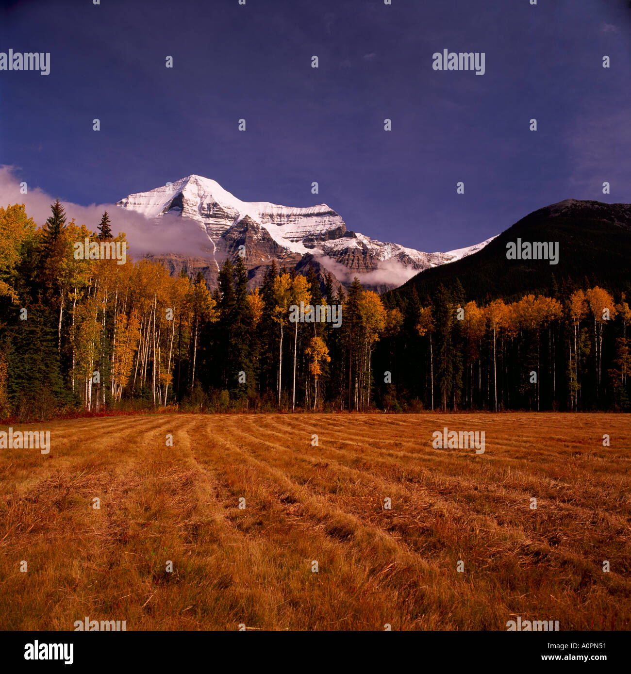 Mount Robson in Mount Robson Provincial Park in Canadian Rockies along ...