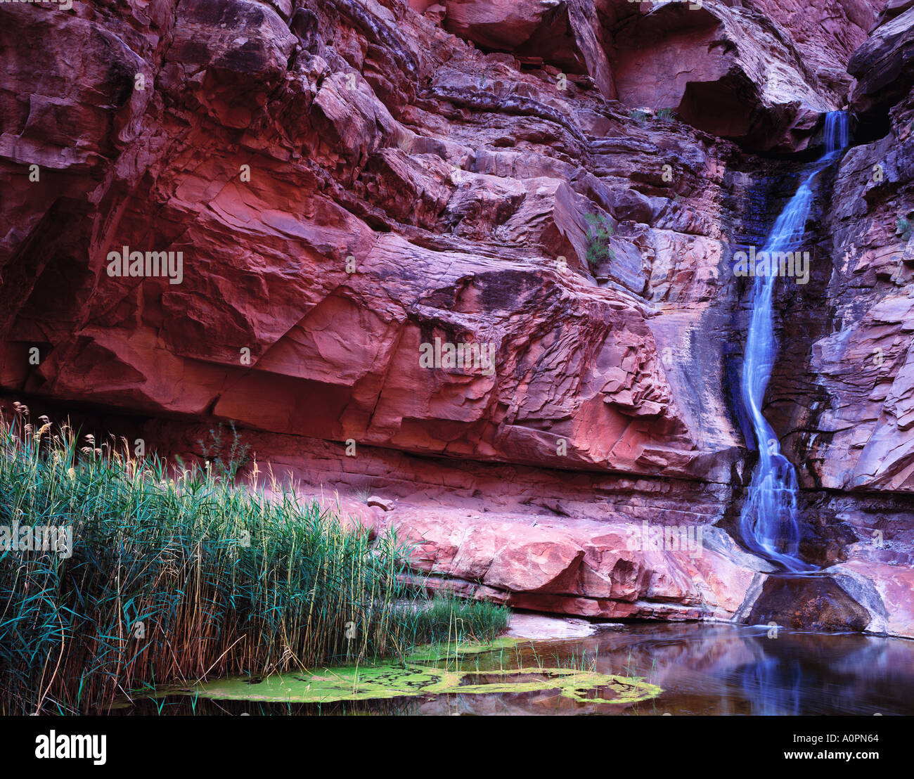 Deep Dark Canyon