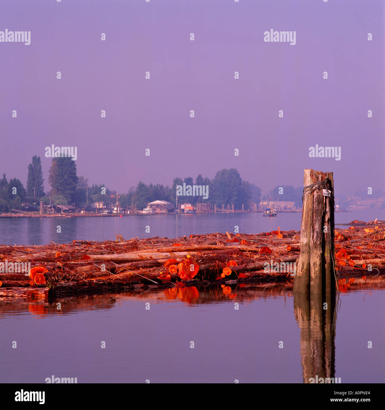 Log booming hi-res stock photography and images - Alamy