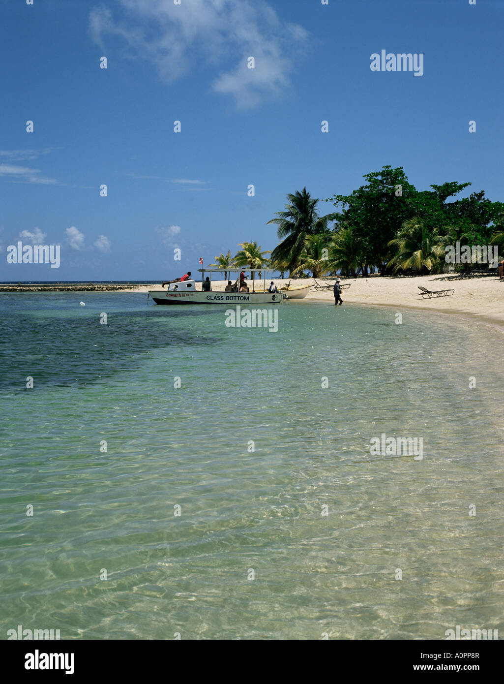 Half Moon Club Montego Bay Jamaica West Indies Caribbean Central ...