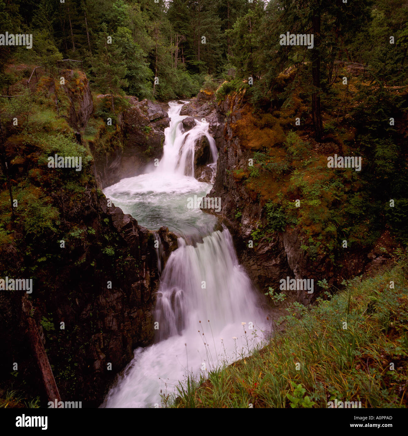 Little qualicum rivers hi-res stock photography and images - Alamy