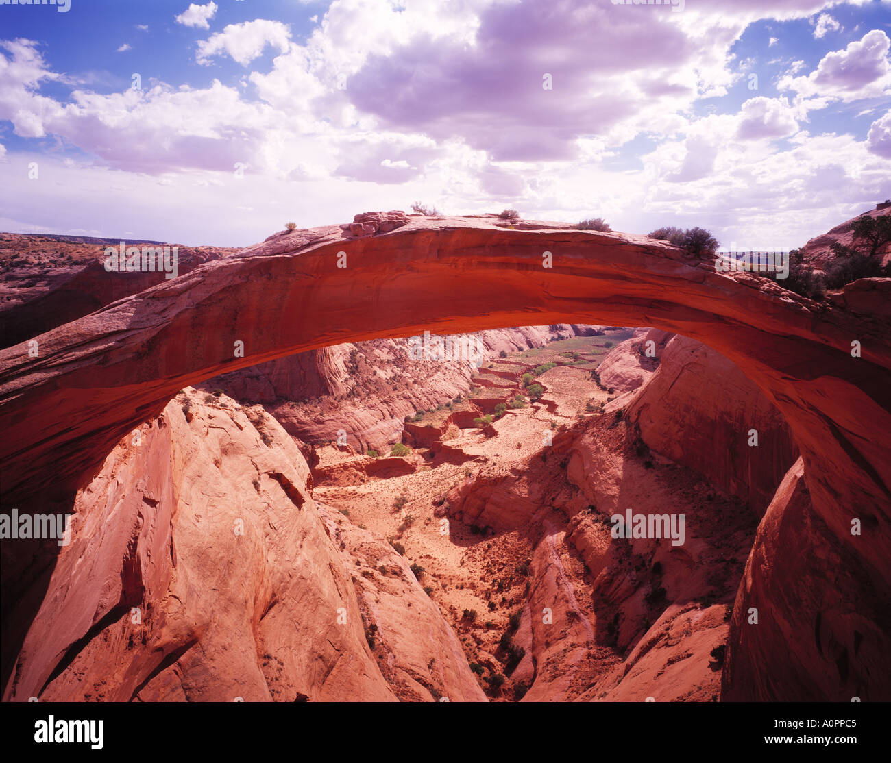 Eggshell arch hi-res stock photography and images - Alamy