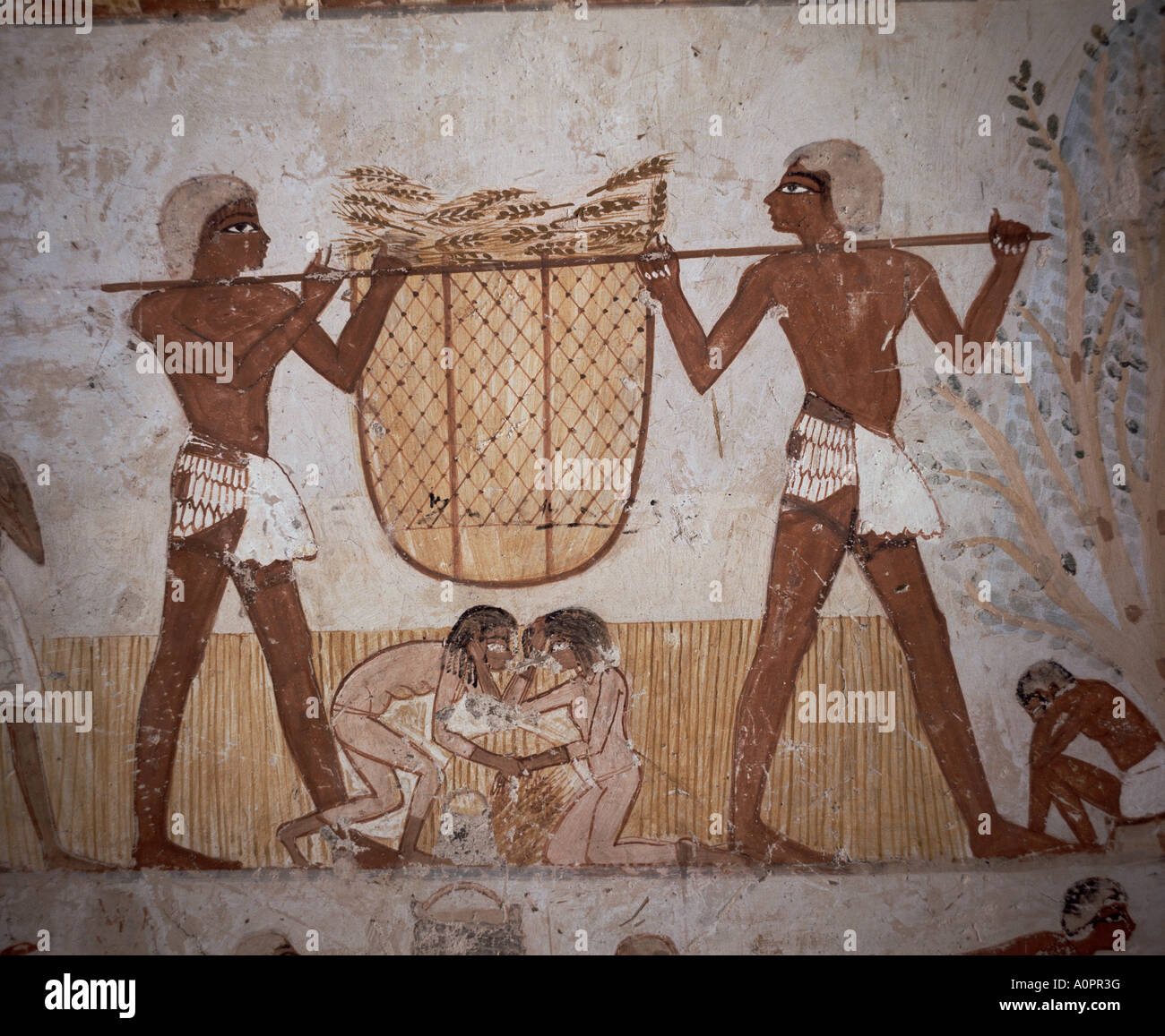 Tomb of Menna Valley of the Nobles Thebes Egypt North Africa Africa ...
