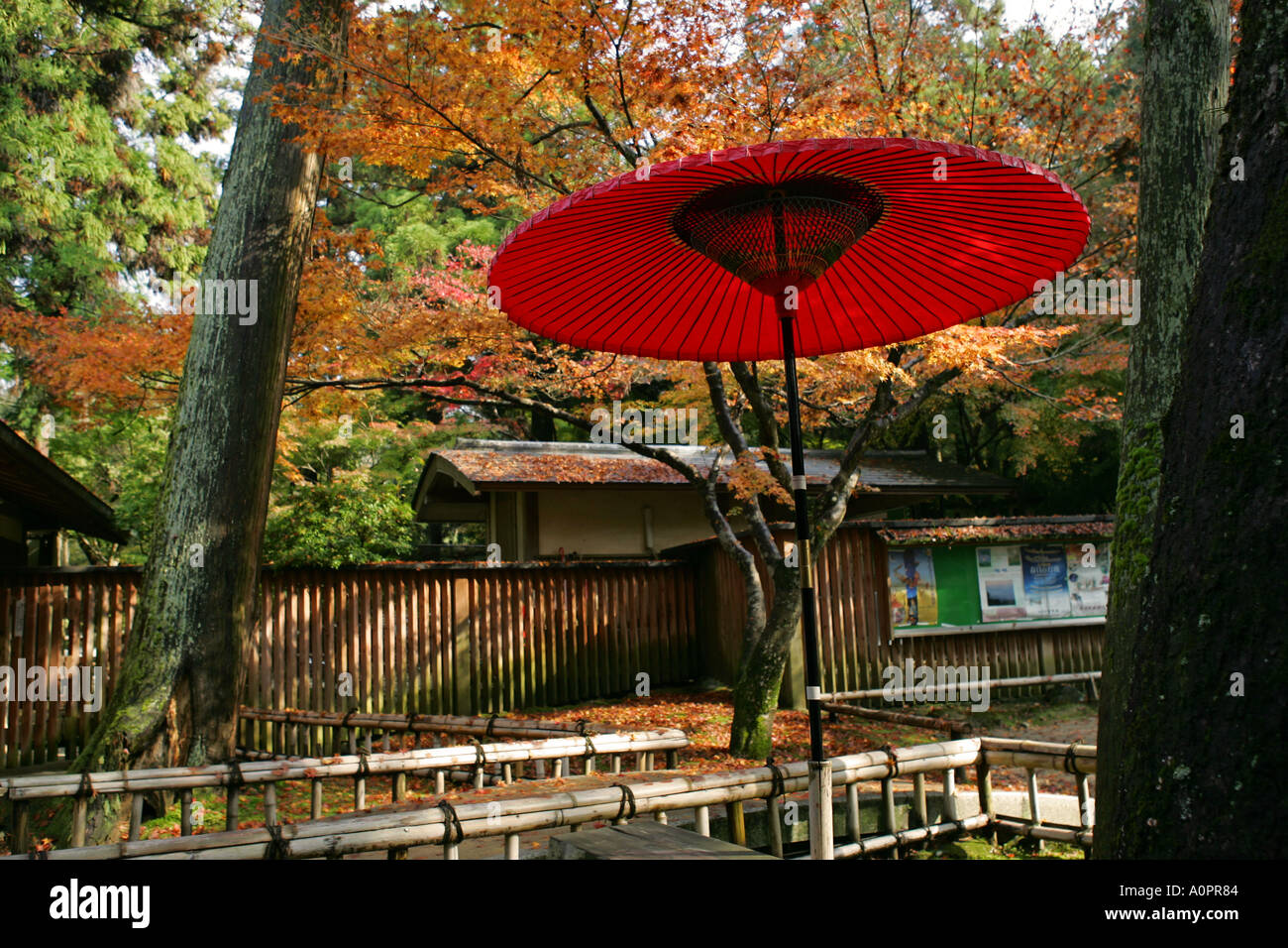 Iconic Japanese red umbrella surrounded by colourful autumn leaves in ...