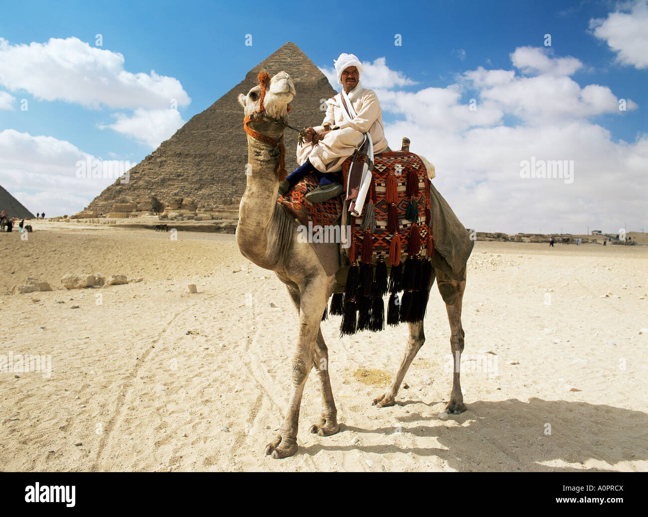 Camel and rider Giza Egypt North Africa Africa Stock Photo - Alamy