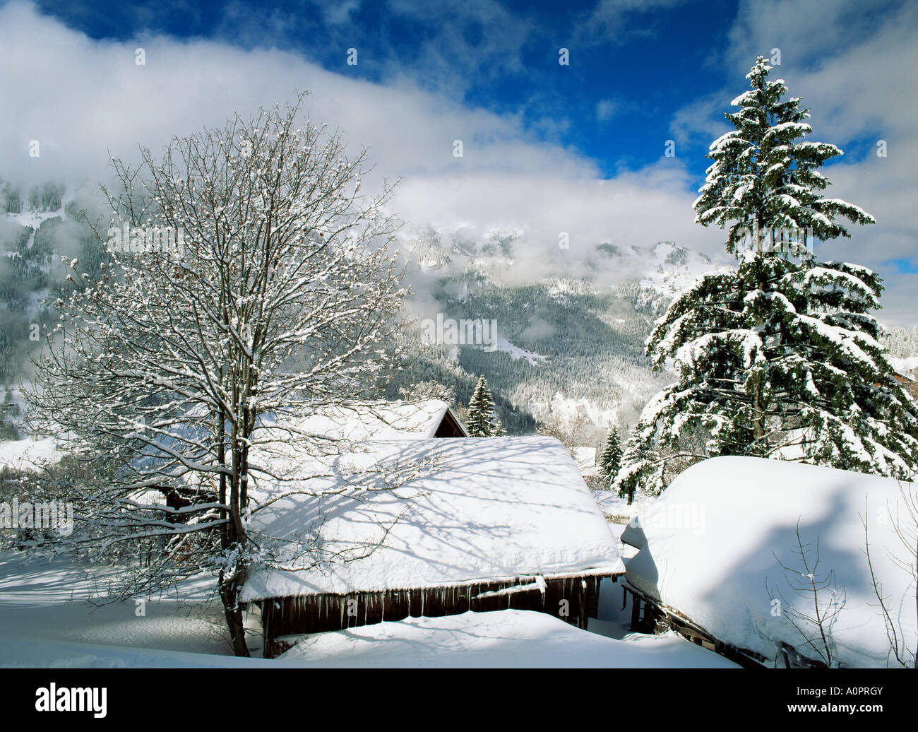 Snow covered barns Wengen Bernese Oberland Swiss Alps Switzerland ...