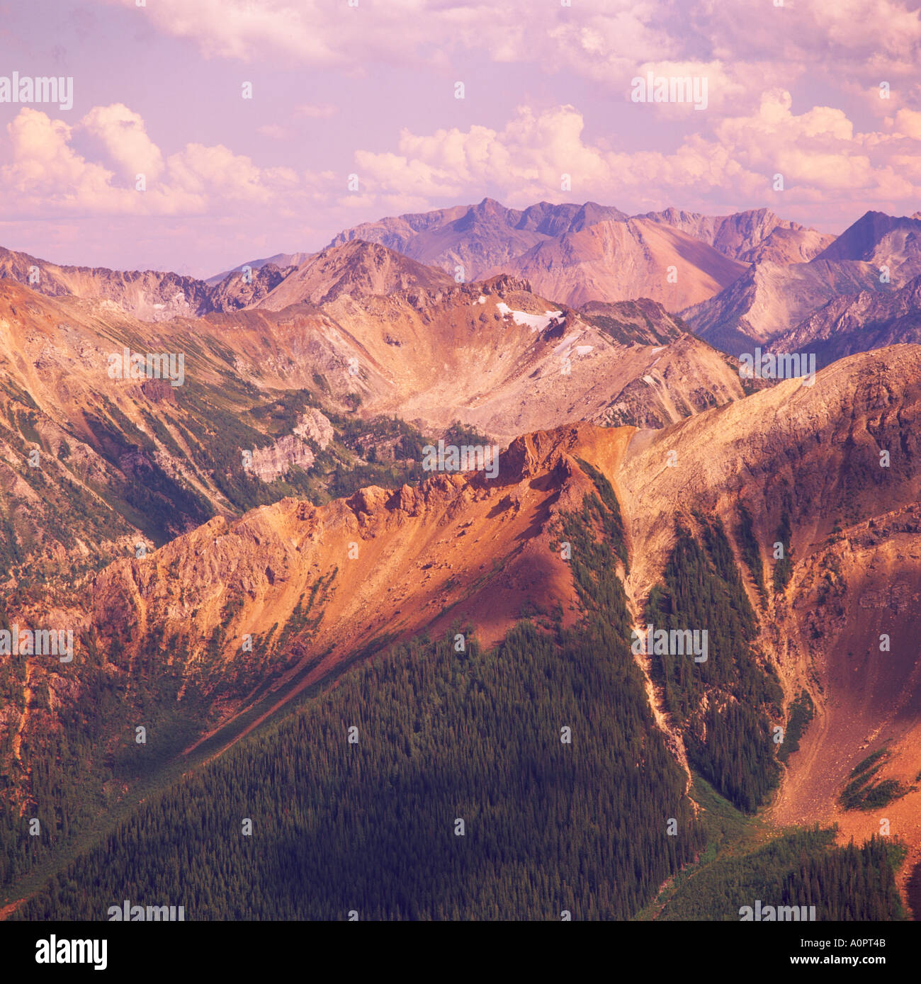 In the selkirk hi-res stock photography and images - Alamy