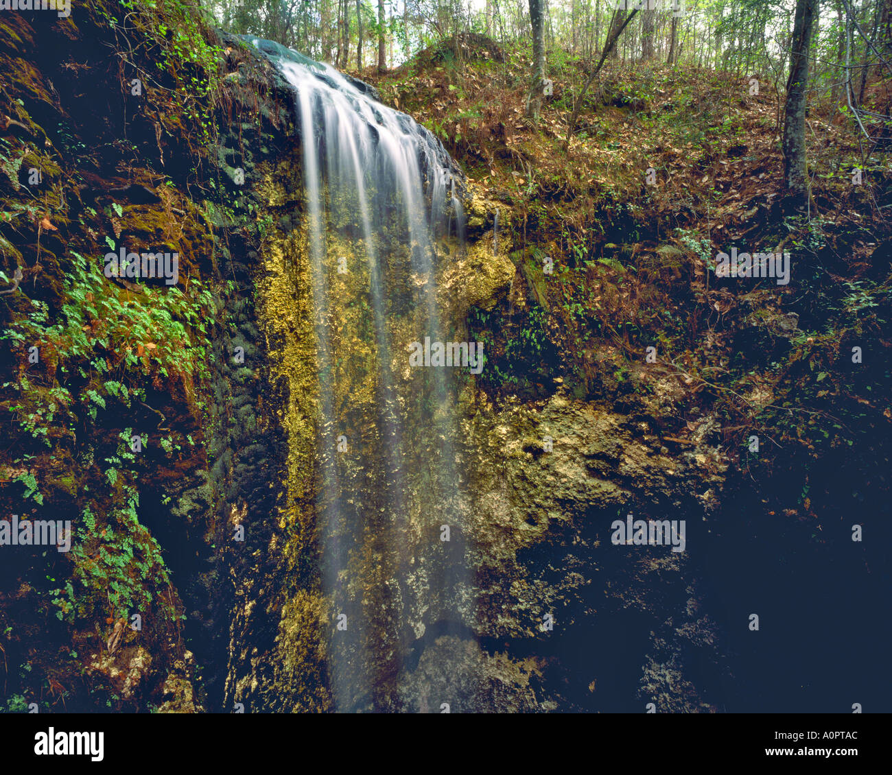 Stream Flowing into Falling Waters Sink in Spring Falling Waters State ...