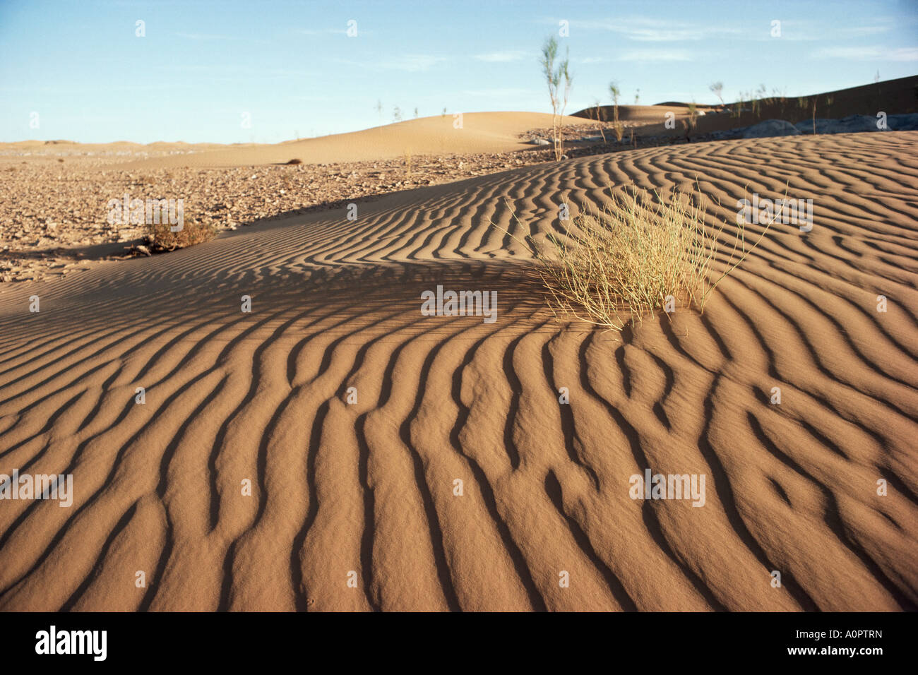Sahara Desert Algeria North Africa Africa Stock Photo - Alamy