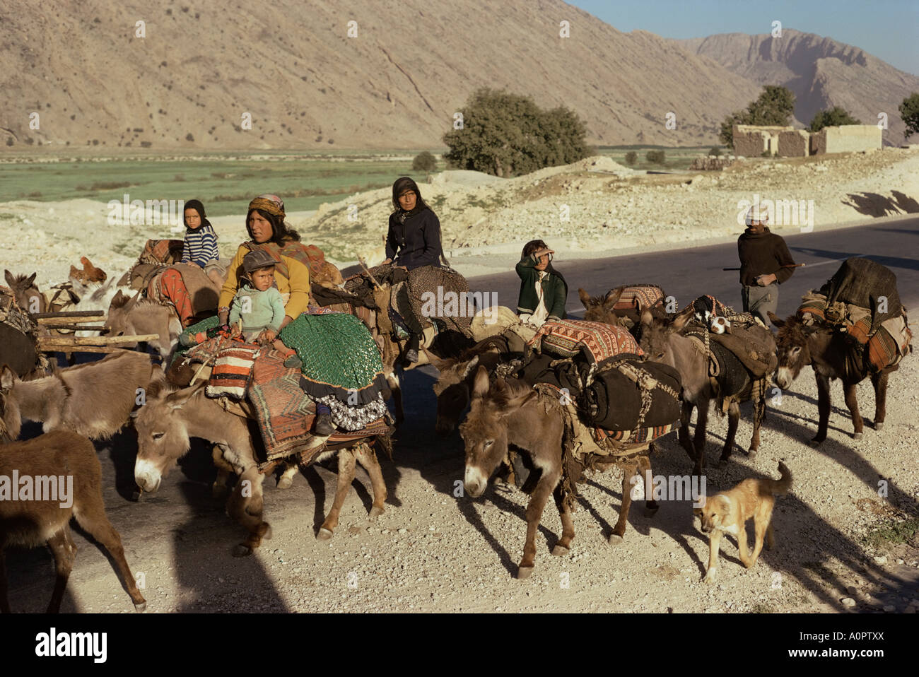 Migration of the Qashgai tribe Iran Middle East Stock Photo - Alamy