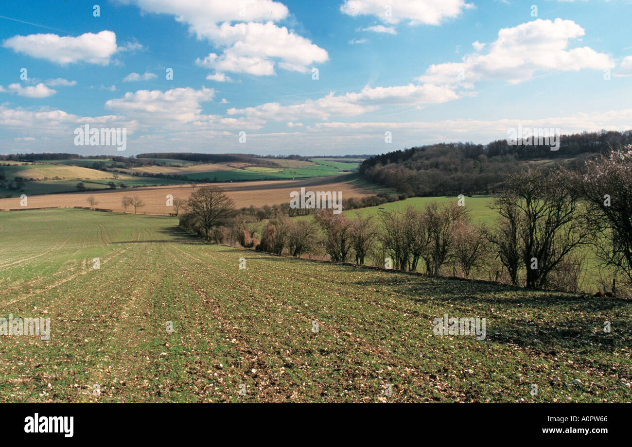 Homecounties hi-res stock photography and images - Alamy