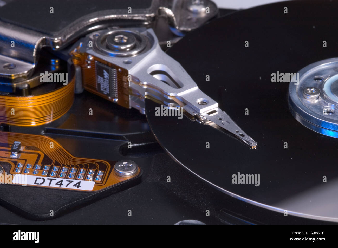 Silver meg hi-res stock photography and images - Alamy