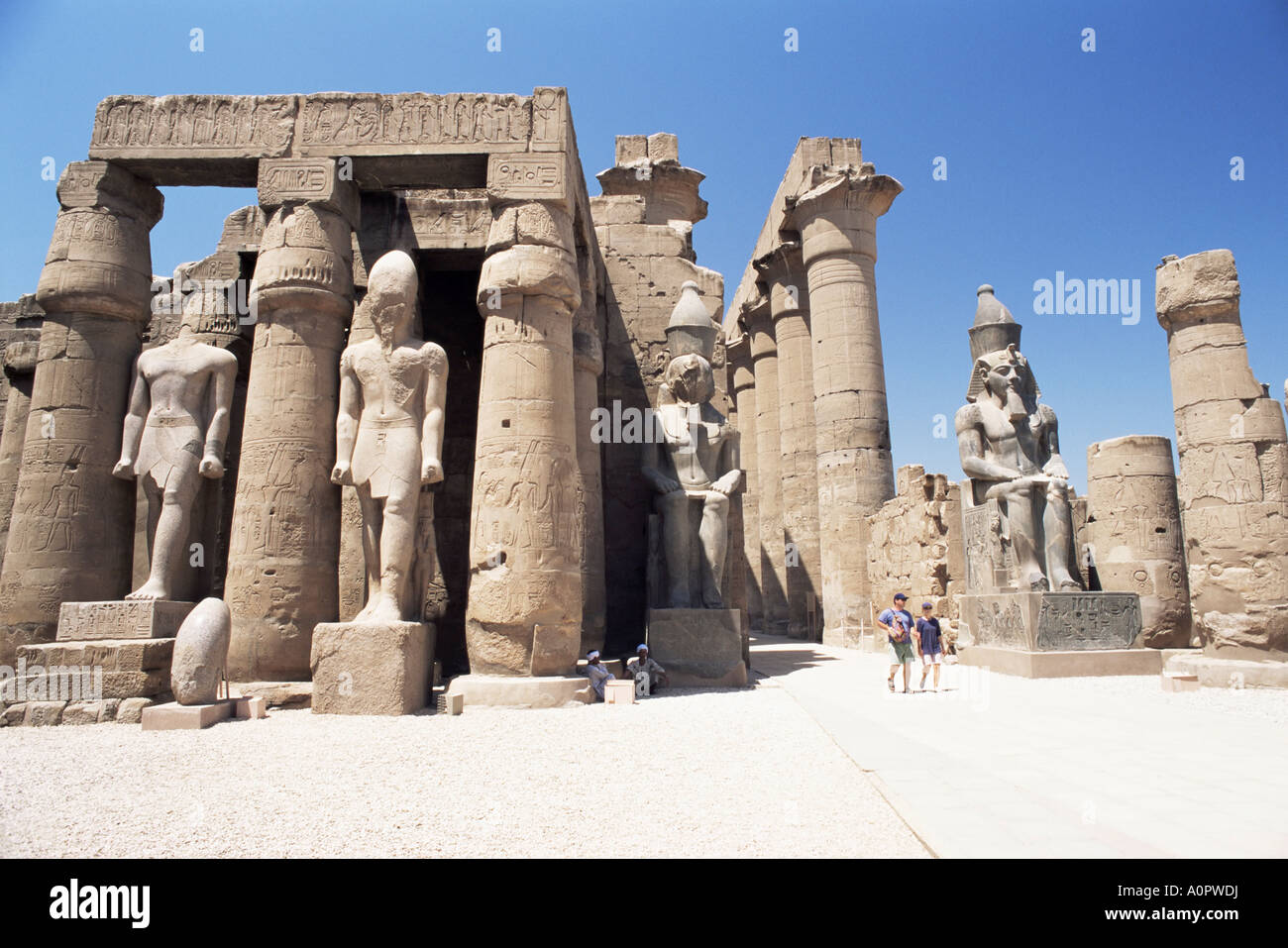 Statue of Ramses II in the Great Court of Ramses II Luxor Temple Luxor ...