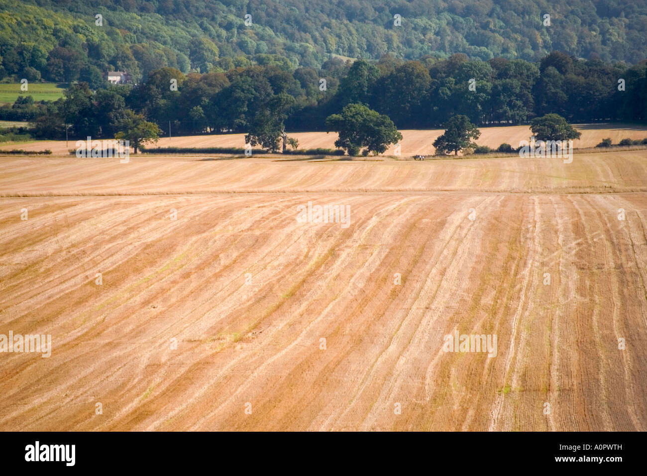 Farmland after harvesting view from the Ridgeway Path Pitstone Hill ...