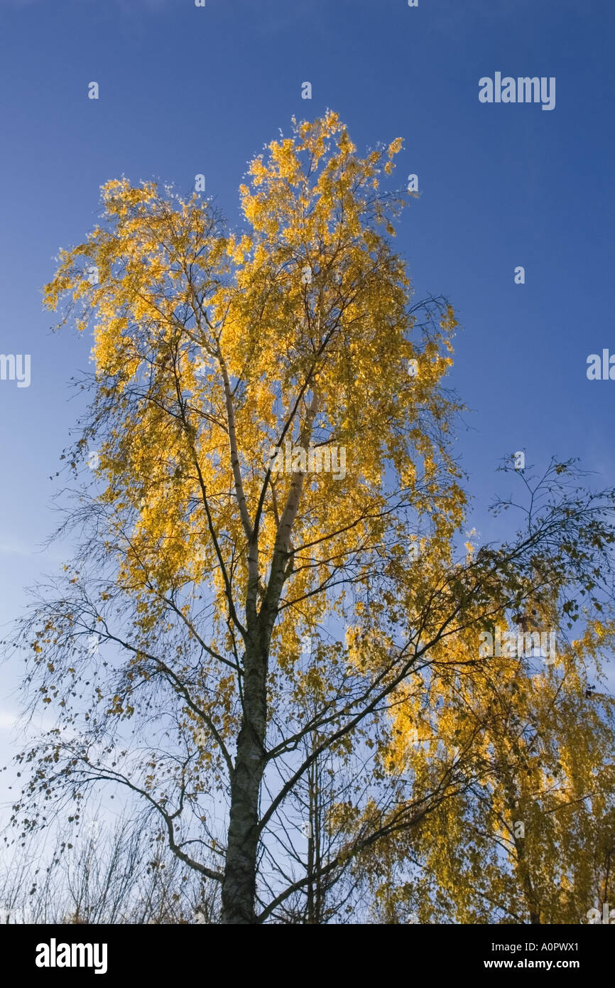 the lake at the arrow valley country park redditch worcestershire the ...
