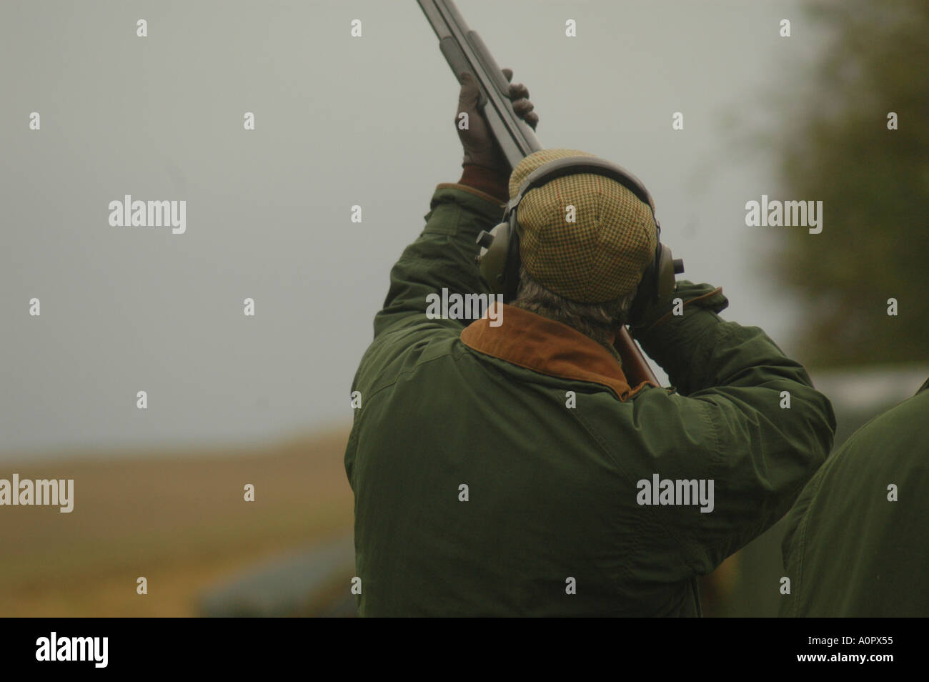 Taking aim at bird on a shoot Stock Photo - Alamy