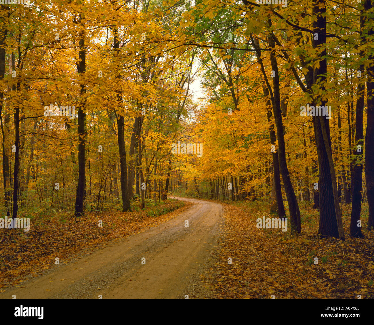 Yellow River State Forest Map