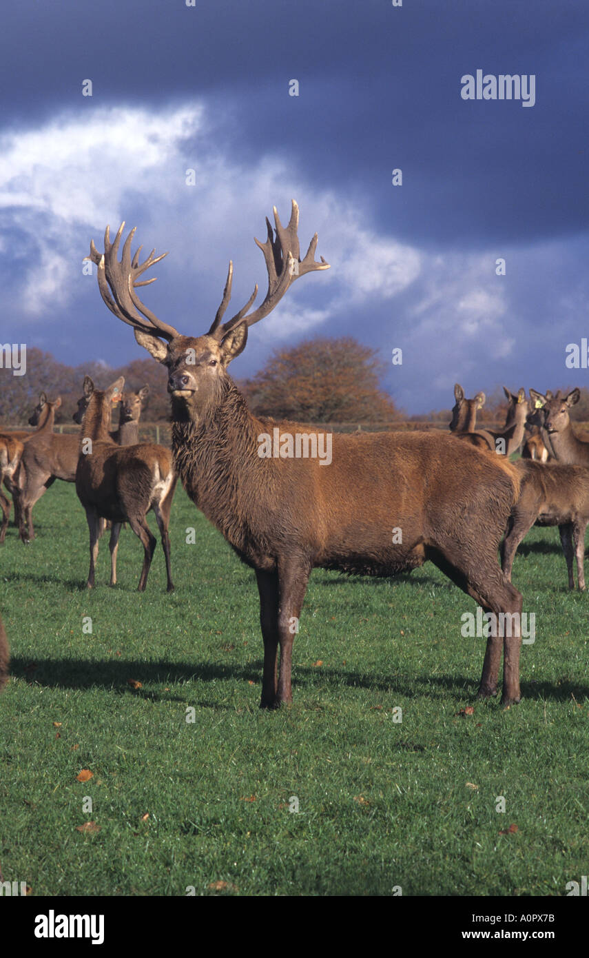 Devon and somerset border hi-res stock photography and images - Alamy