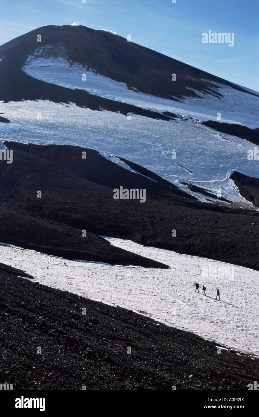 Walkers on snow field below steaming summit cone Avacha volcano 2741m ...